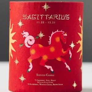 Anthropologie | Accents | Lou Benesch X Anthropologie Stargazer Zodiac ...